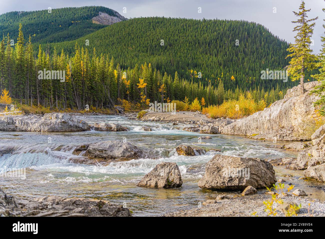 Elbow Falls in the Kananaskis provincial park Alberta Stock Photo - Alamy
