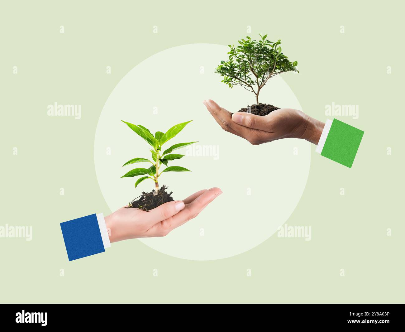 Two businessman hands holding young plant, world environment day ...