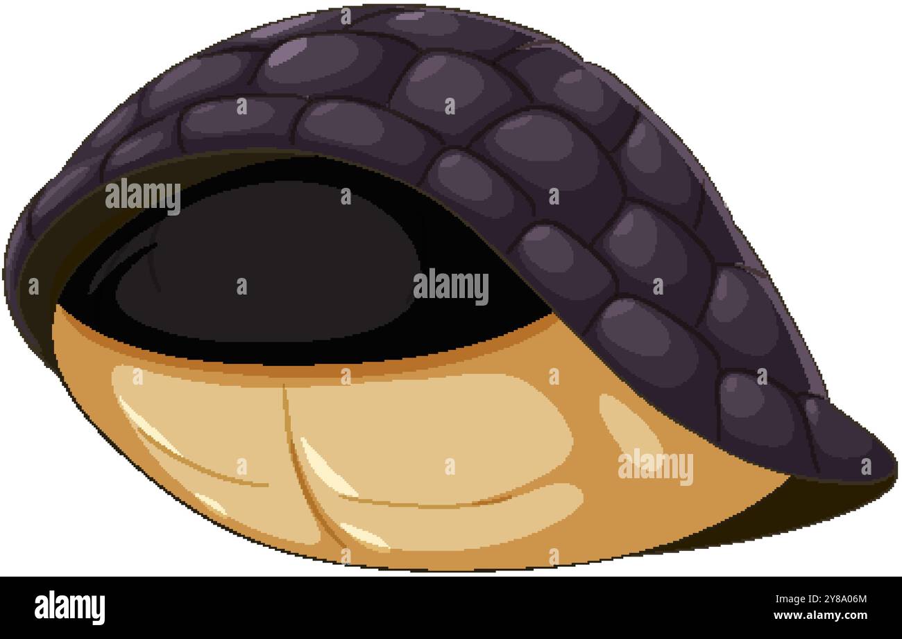 Vector illustration of an armadillo shell Stock Vector Image & Art - Alamy