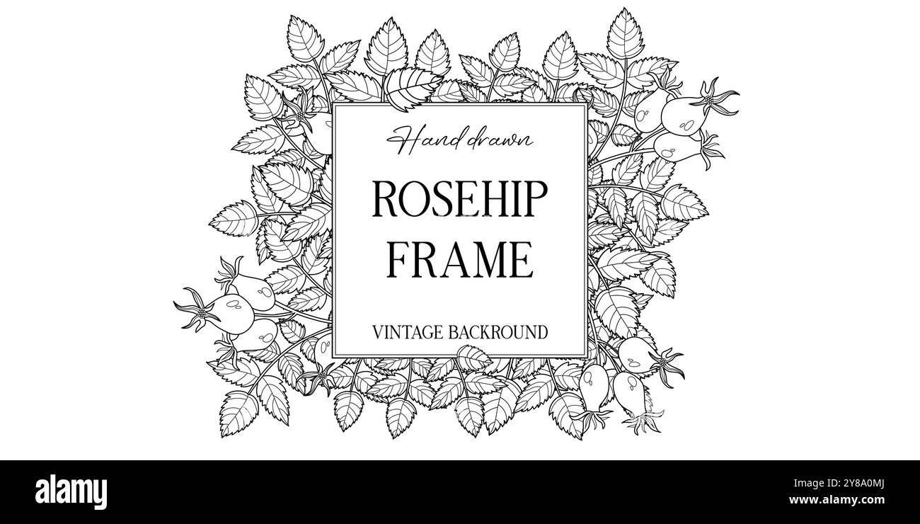 Hand drawn autumn botanical frame with rosehip leaves. Vector ...