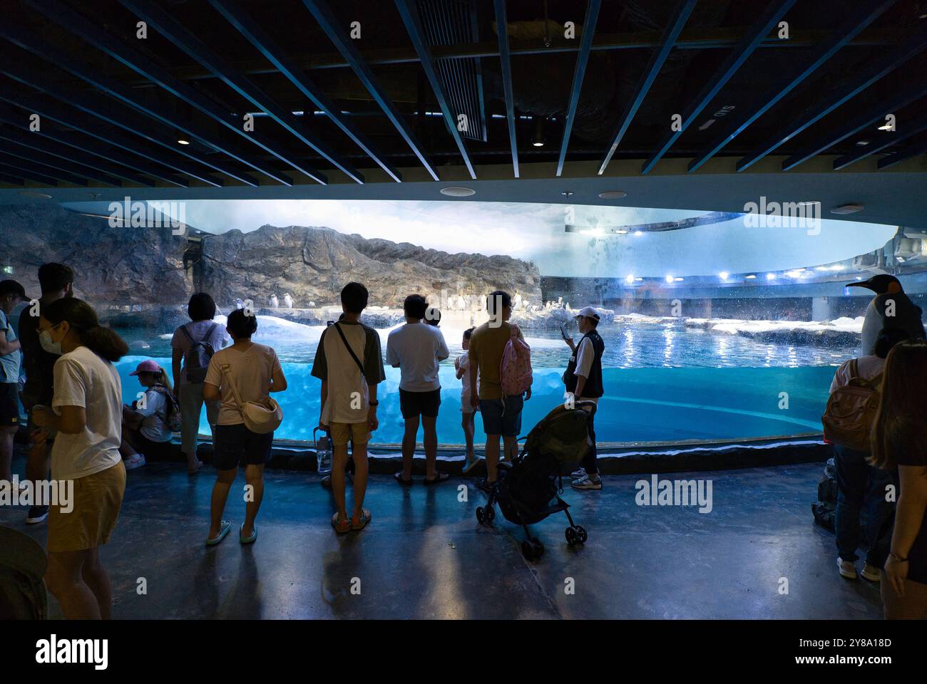 Singapore, 26 Nov 2023: Visitors at the Penguin Cove exhibit, in Bird ...
