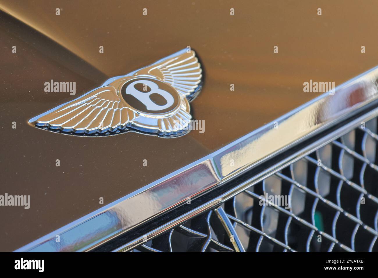 The bentley logo is gleaming on the hood of a luxury car Stock Photo ...