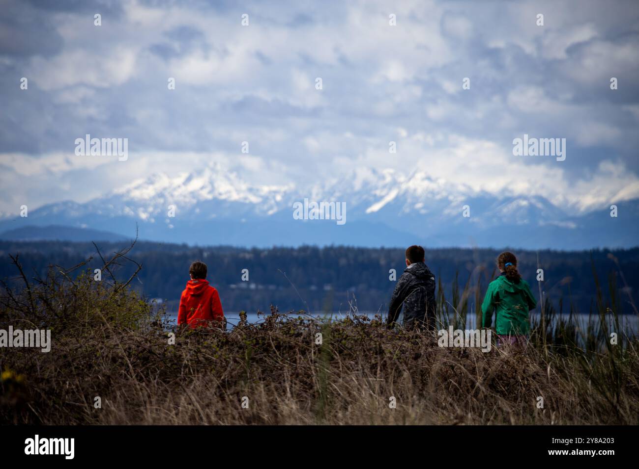 View of the Olympic Mountain Range from Discovery Park in Seattle ...