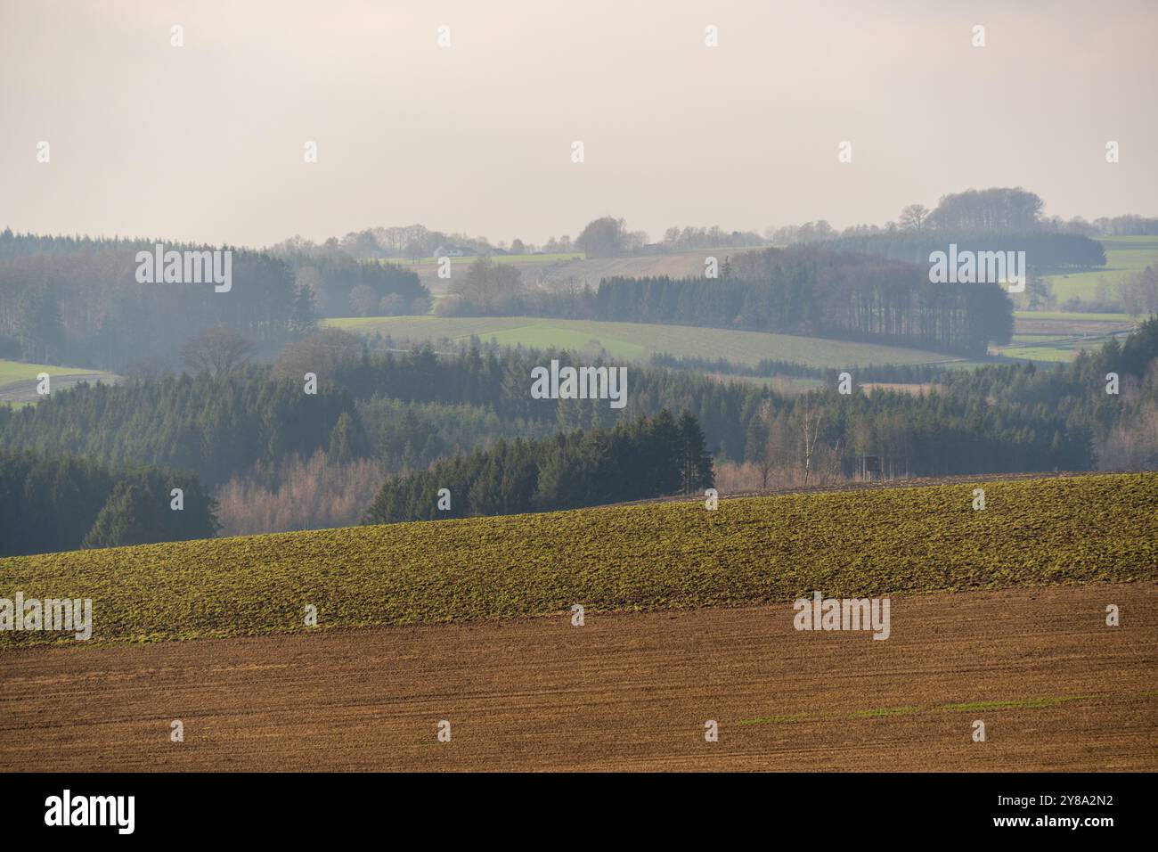 The Battle of the Bulge, Tank Battle Site in Clervaux, Luxemburg ...