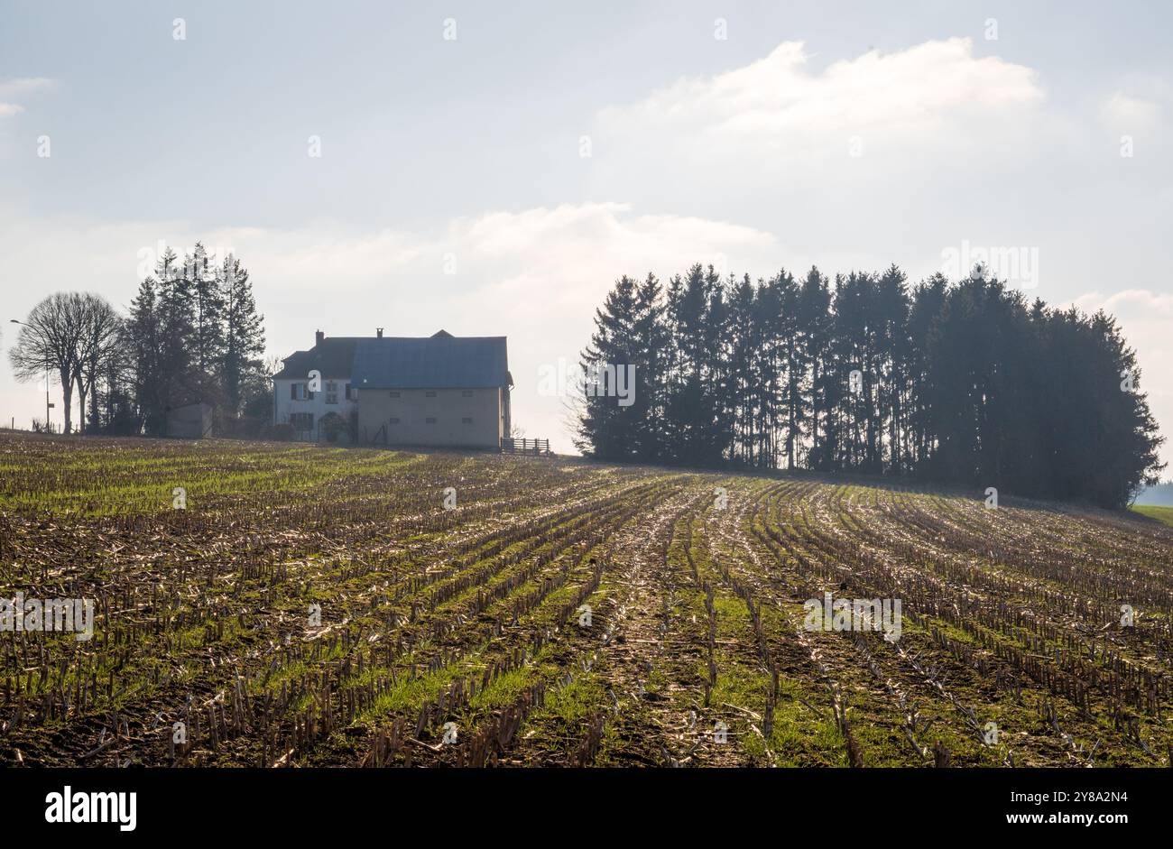 The Battle of the Bulge, Tank Battle Site in Clervaux, Luxemburg ...