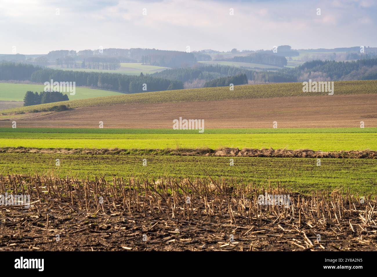The Battle of the Bulge, Tank Battle Site in Clervaux, Luxemburg ...