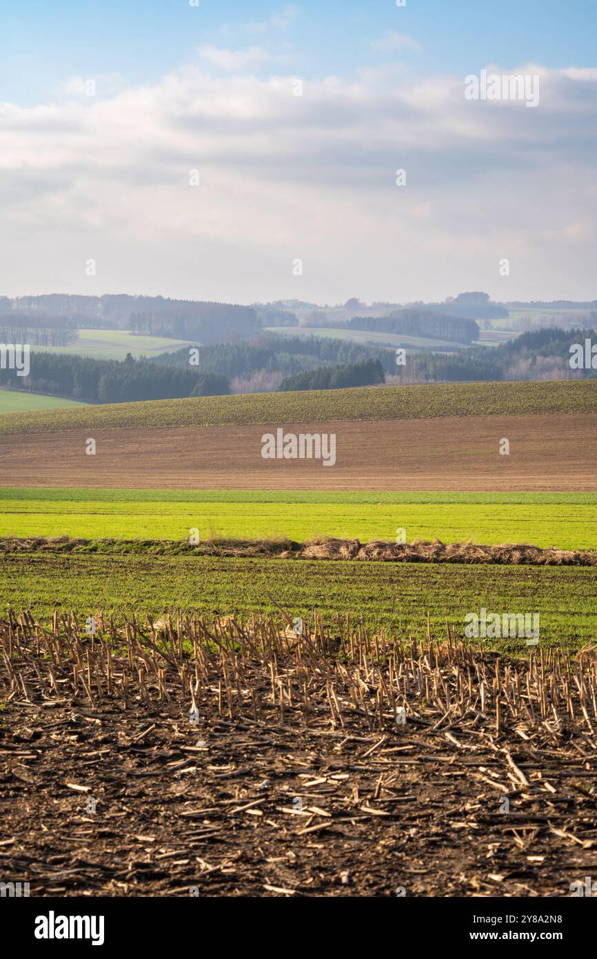 The Battle of the Bulge, Tank Battle Site in Clervaux, Luxemburg ...