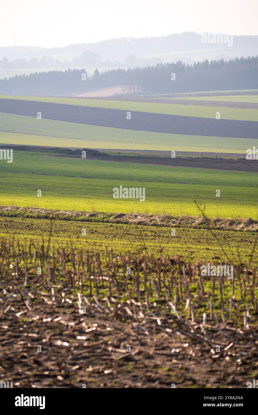 The Battle of the Bulge, Tank Battle Site in Clervaux, Luxemburg ...