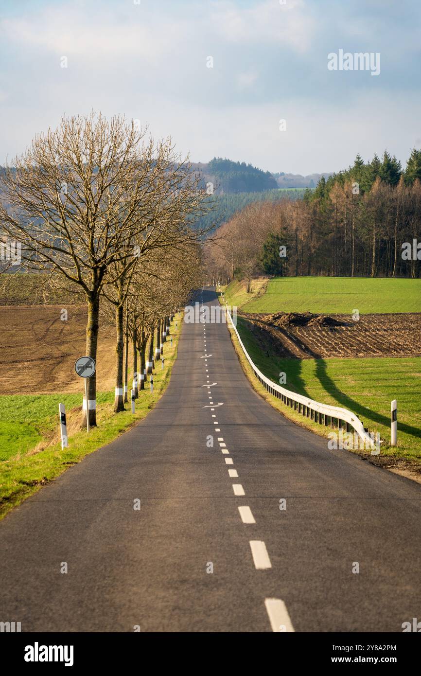 The Battle of the Bulge, Tank Battle Site in Clervaux, Luxemburg ...