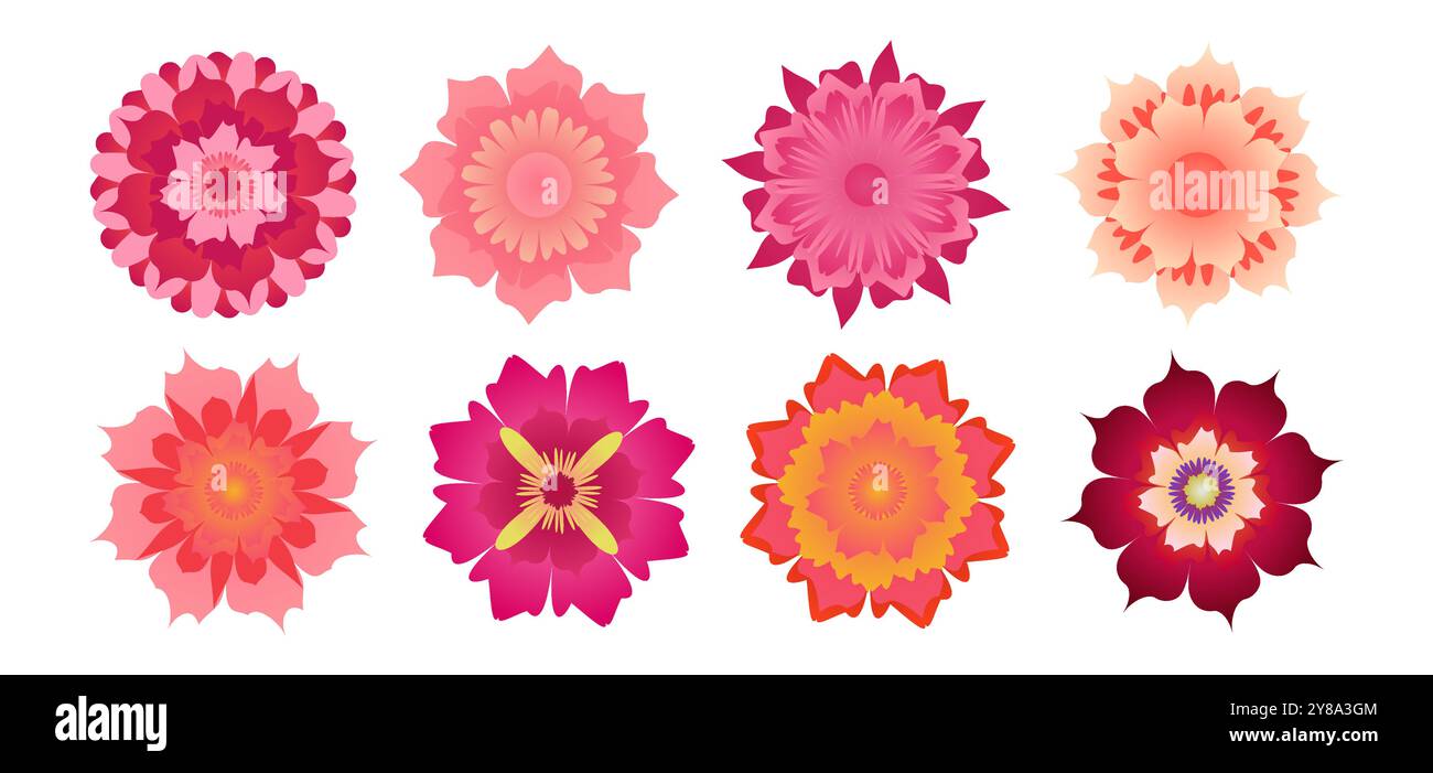 Daisy flower realistic composition Cut Out Stock Images & Pictures - Alamy