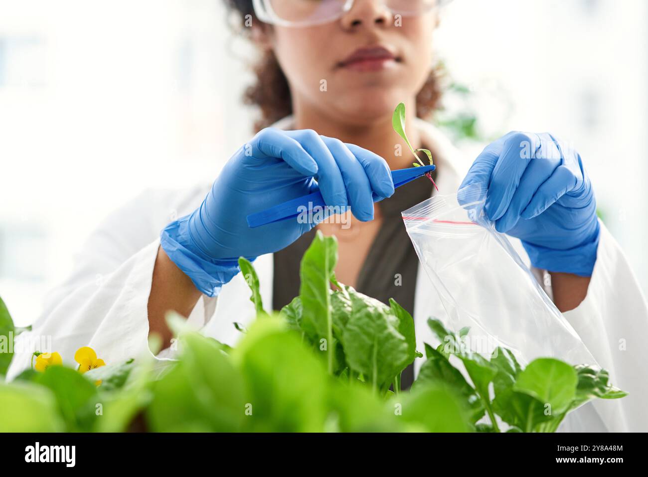 Science, plant sample and woman in laboratory for research, biology and ...