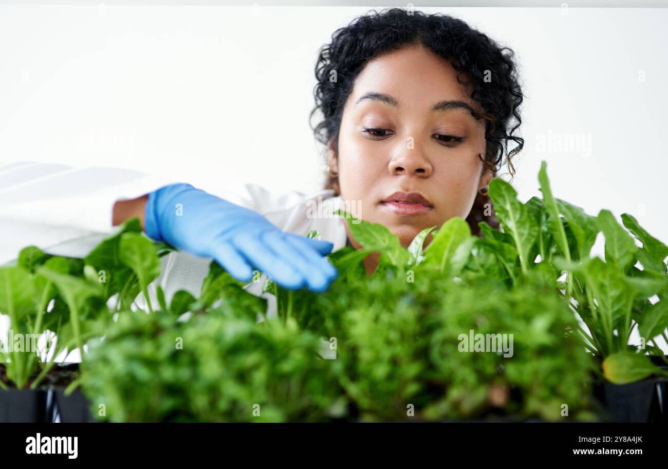 Ecology, science and woman with plants in laboratory for biochemistry ...
