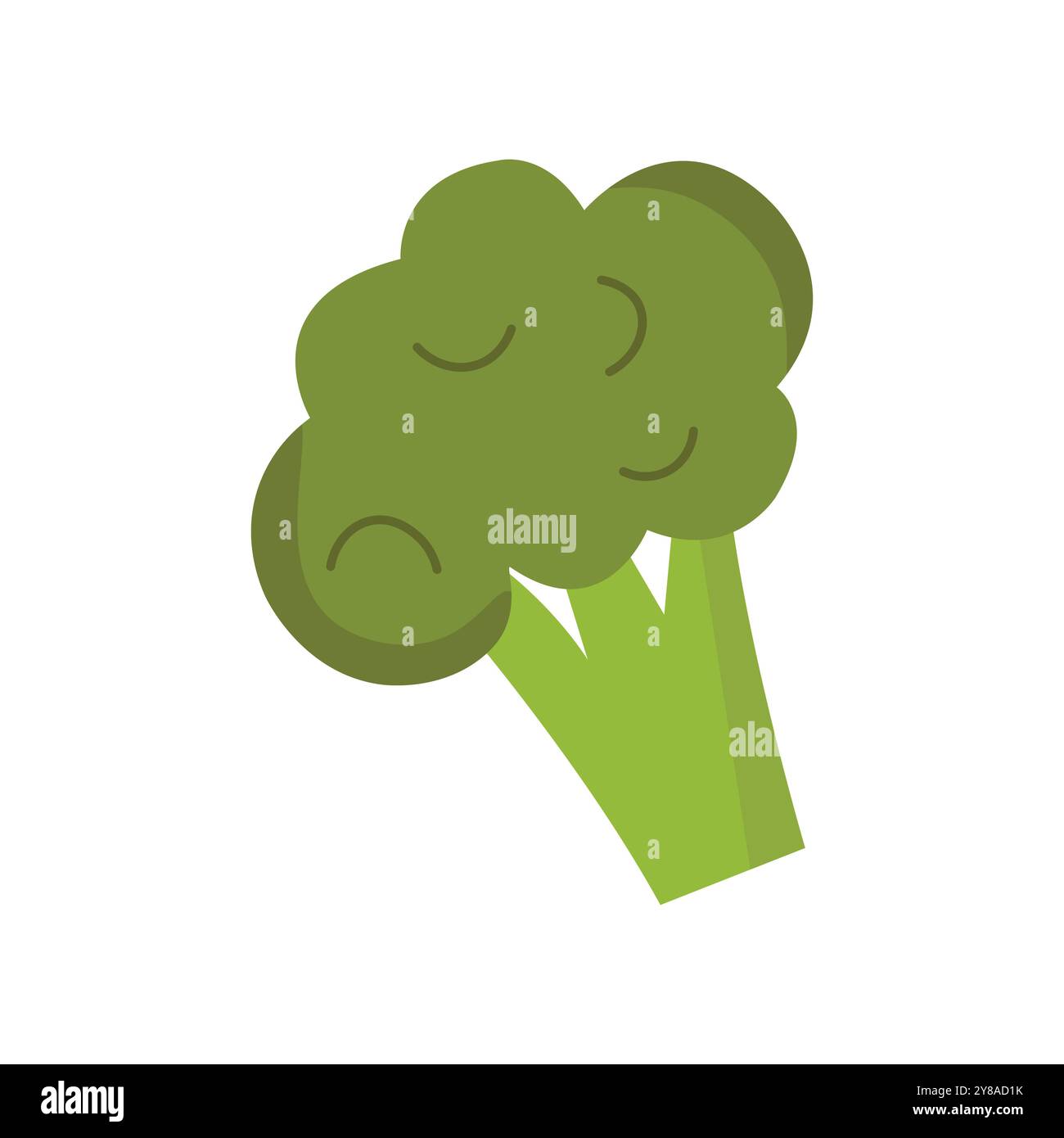 illustration of a green broccoli floret with a thick stalk and rounded ...