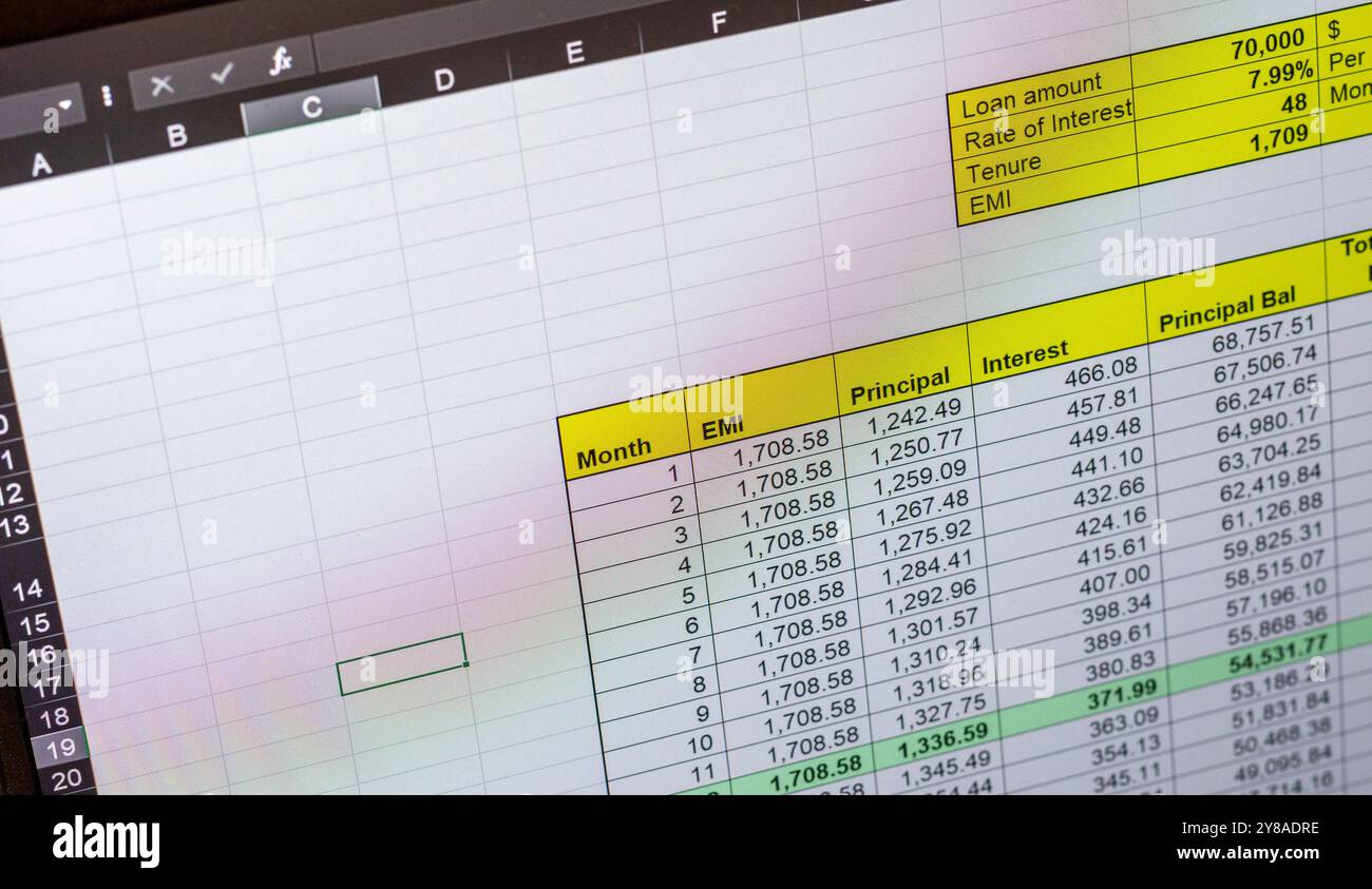 Shot of an dark mode excel sheet on computer screen showing bank loan ...