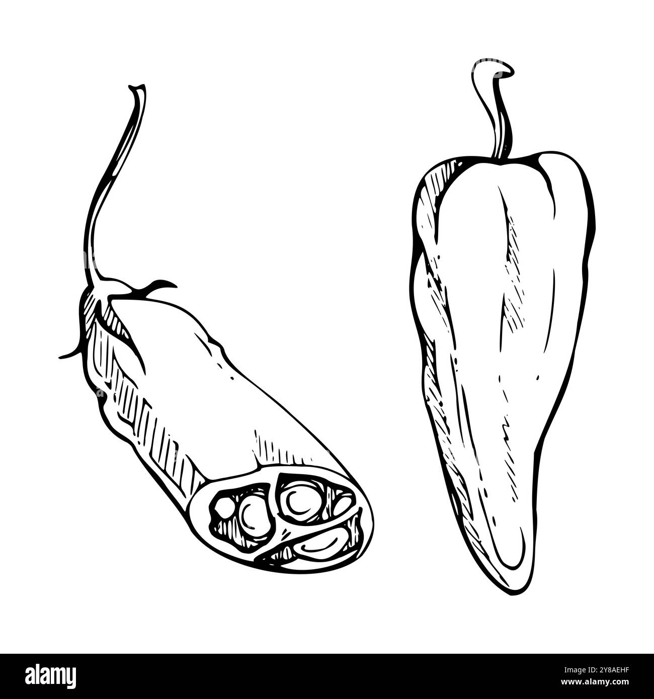 Mexican chili bell pepper, spicy vegetable jalapeno habanero salad ...