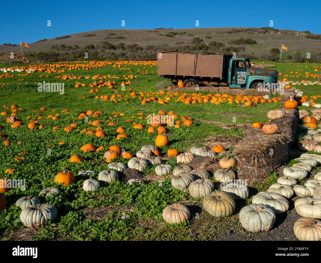 Truck farming california hi-res stock photography and images - Alamy