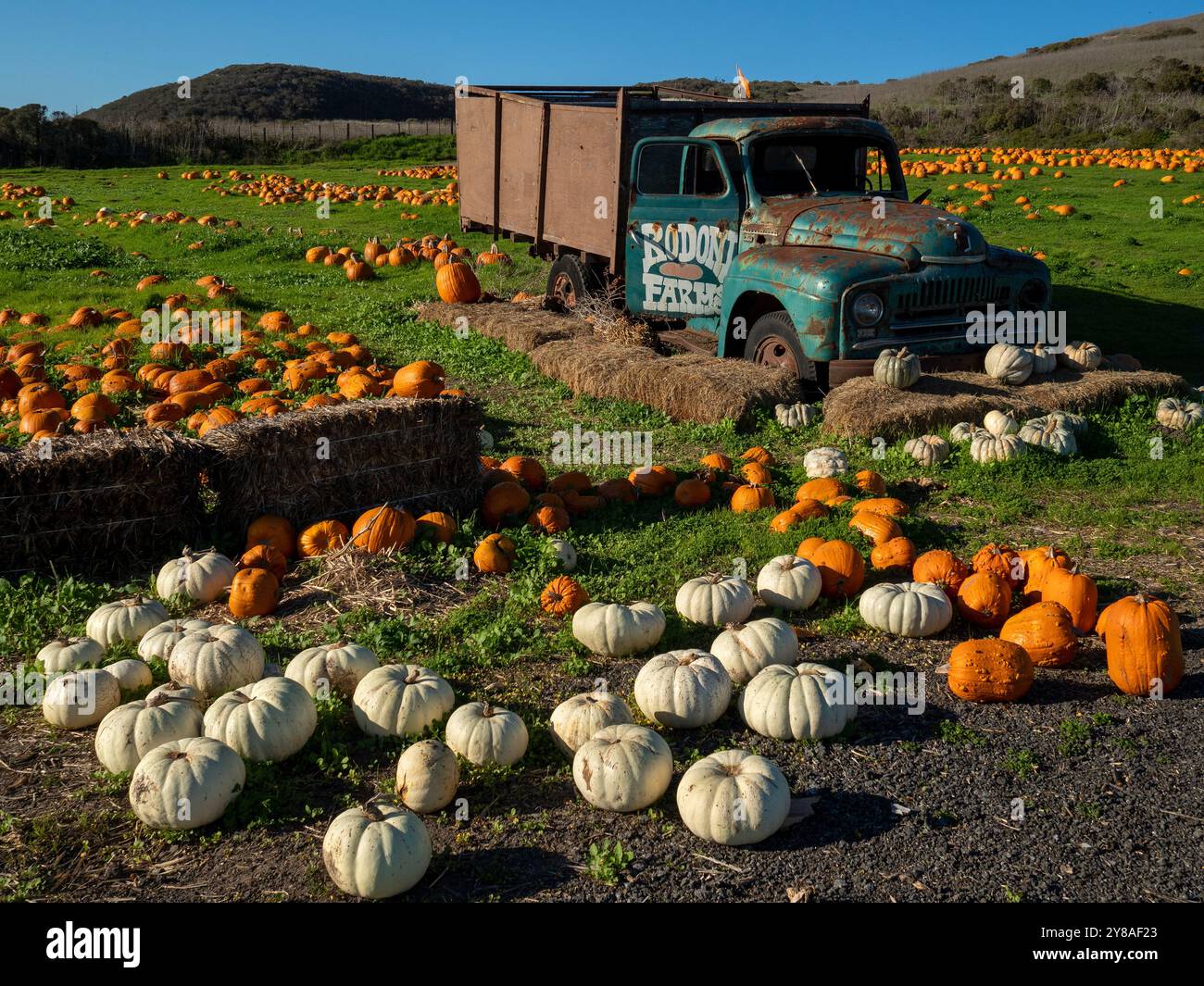 Truck farming california hi-res stock photography and images - Alamy