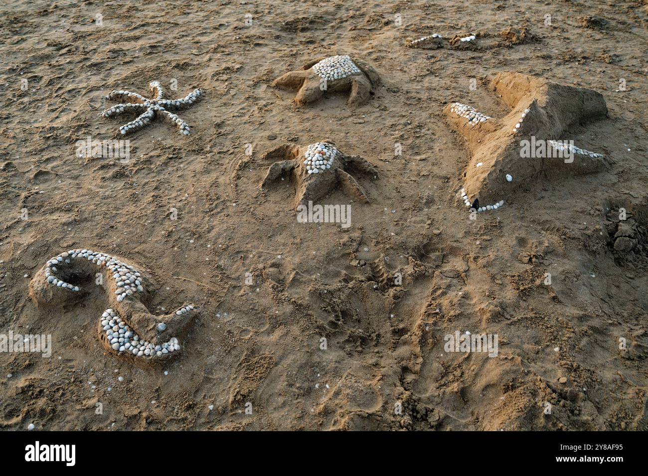 Strandkunst. Meerestiere aus Sand am Strand. Cavallino-Treporti ...