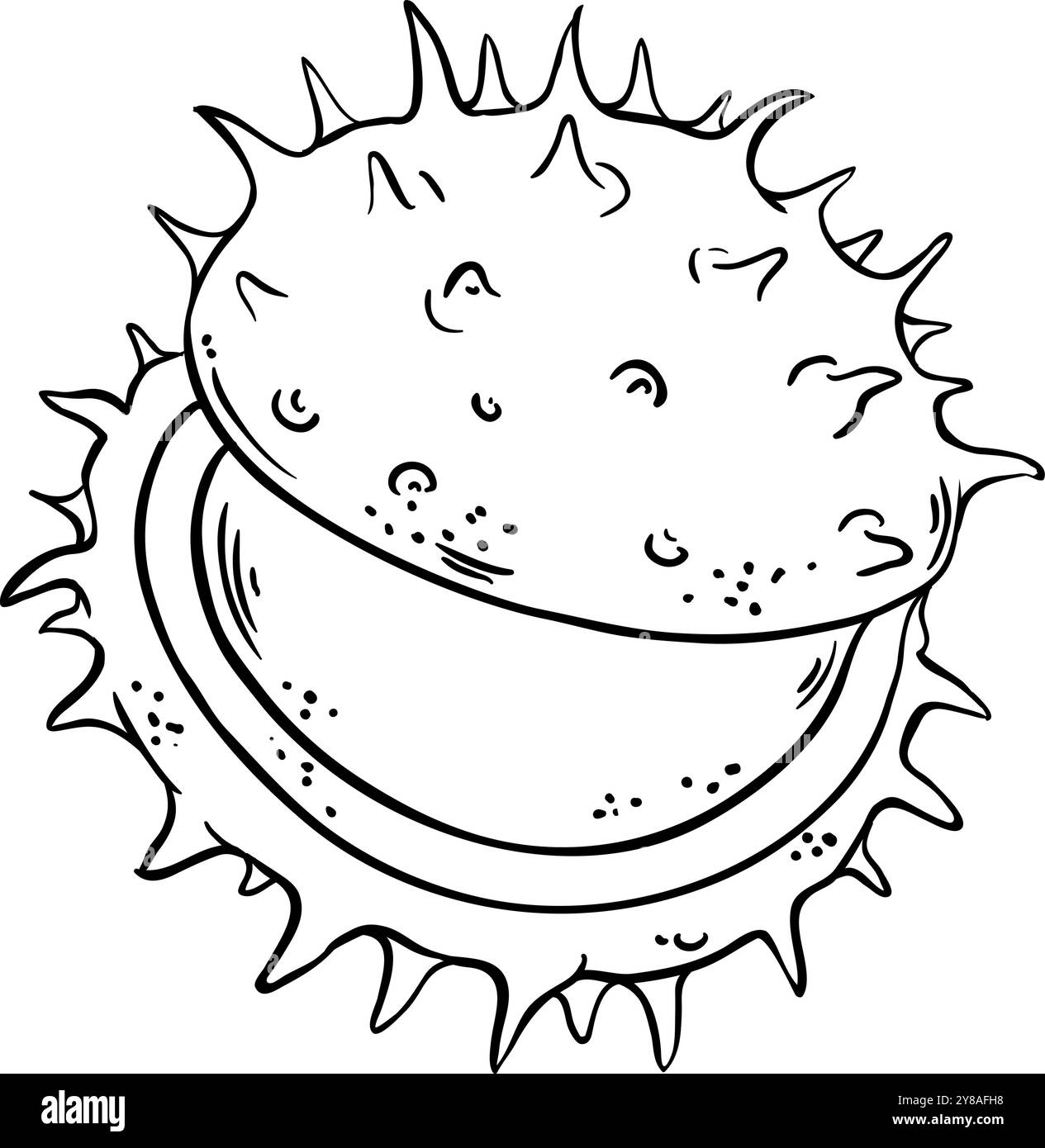 Chestnut Nut Isolated Outline Illustration Stock Vector Image & Art - Alamy