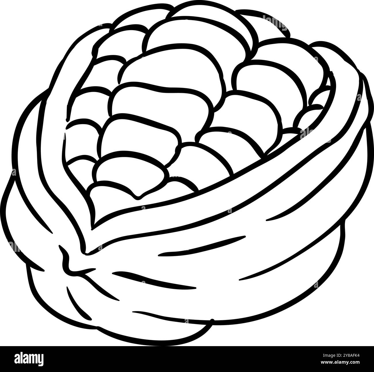 Cocoa cacao beans hand Stock Vector Images - Alamy