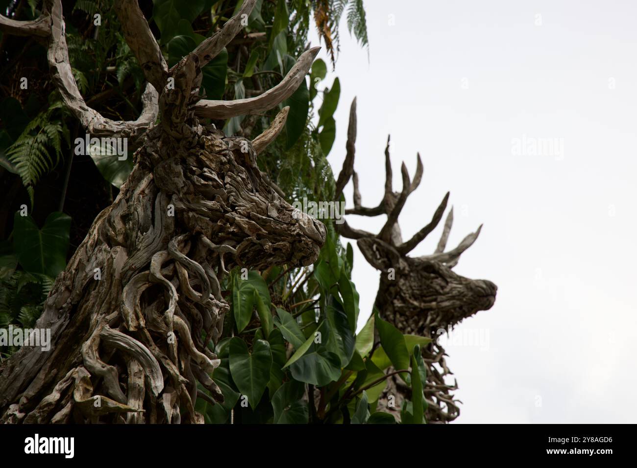 Lost deer in the city Stock Photo - Alamy