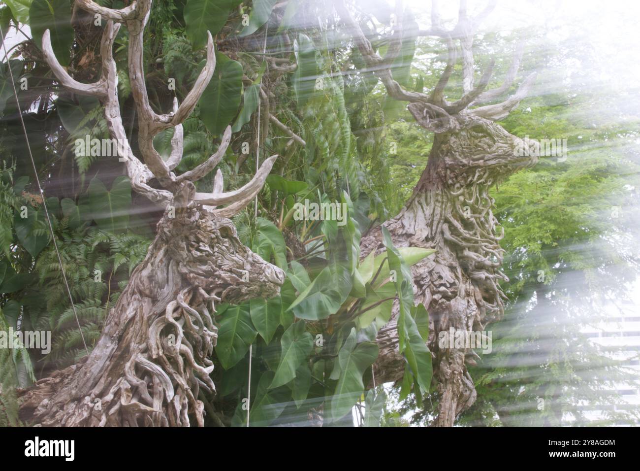 Deer of singapore hi-res stock photography and images - Alamy