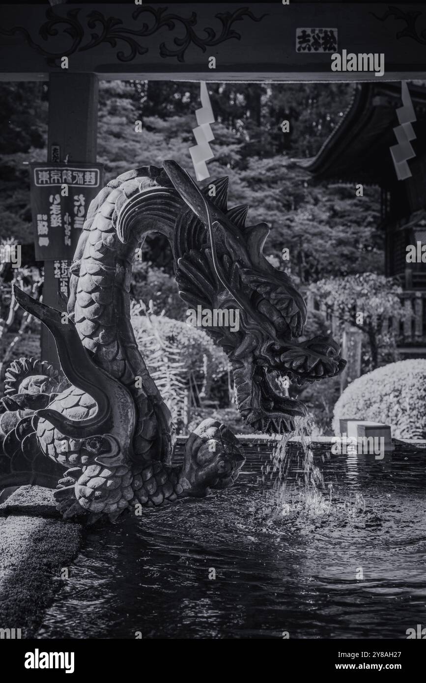 dragon detail pool in the temple Stock Photo - Alamy