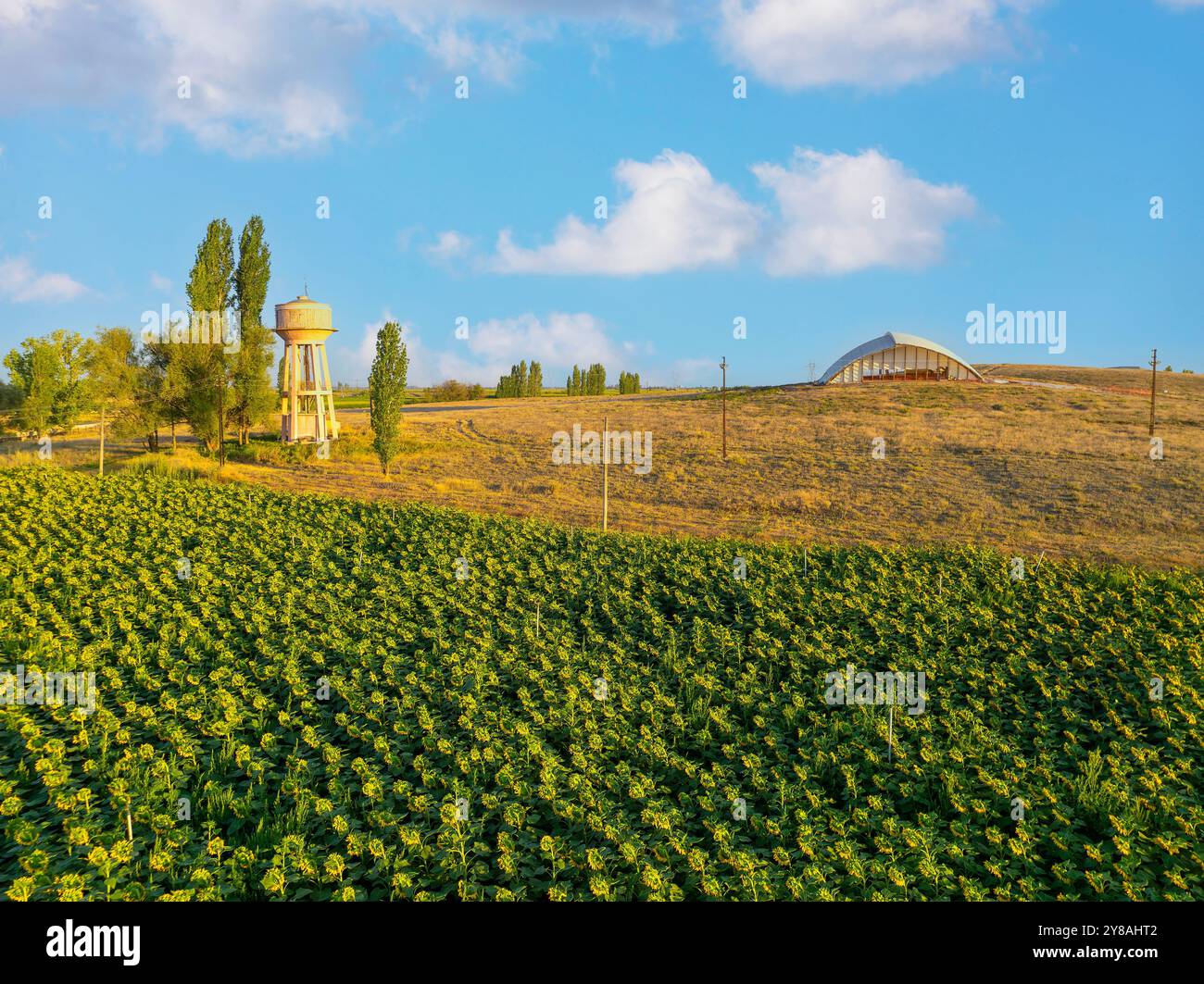 Catalhoyuk is oldest town in world with large Neolithic and ...