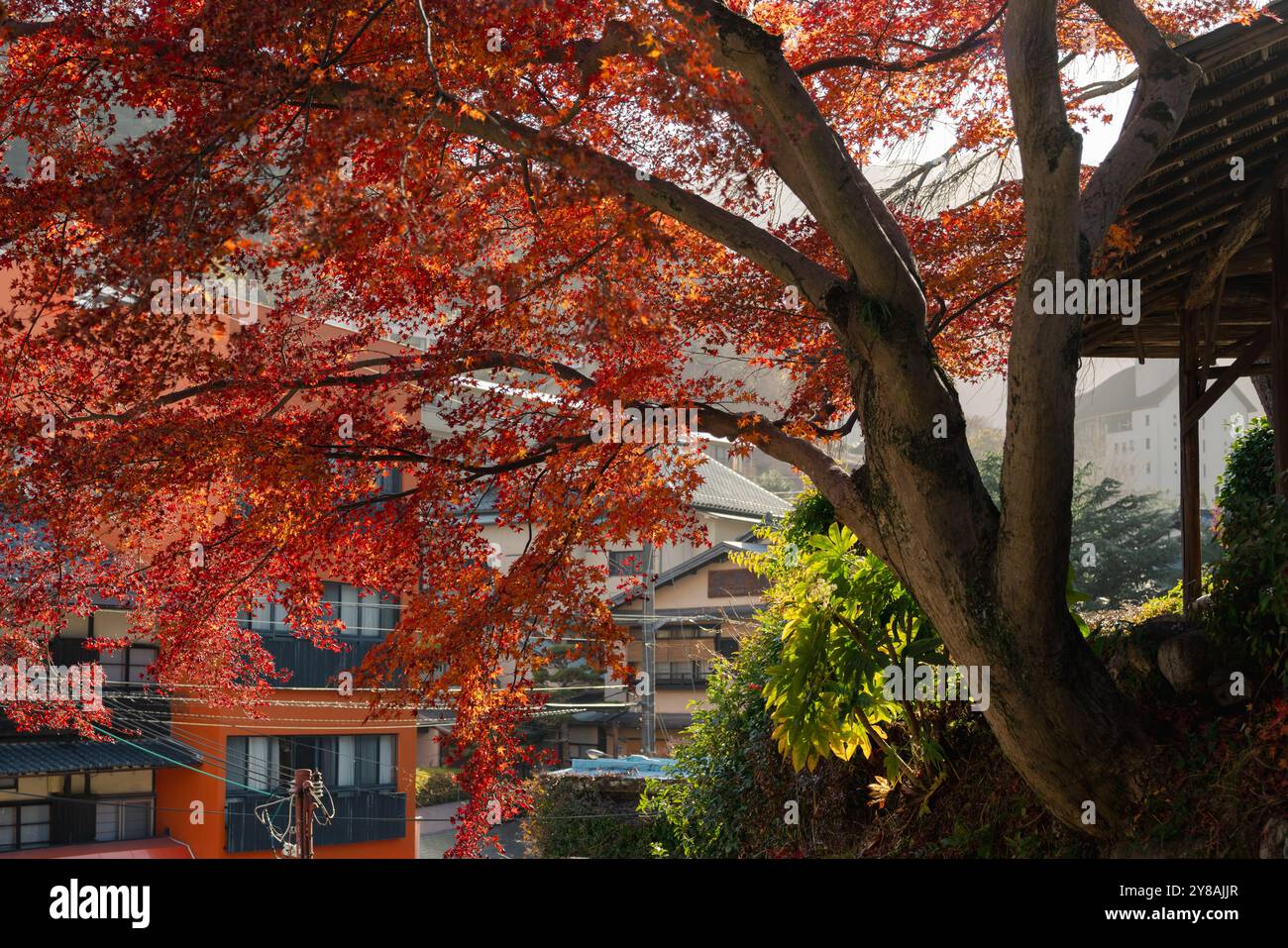 Autumn of Arima Onsen hot spring village in Kobe, Japan Stock Photo - Alamy
