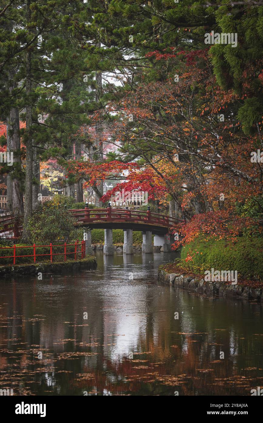 orange bridge with red trees Stock Photo - Alamy
