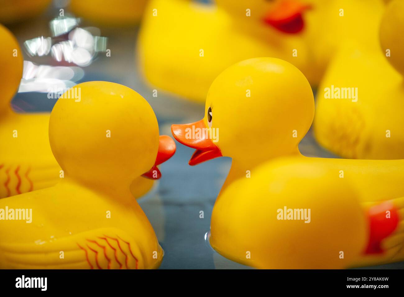 Rubber duckies in water at carnival game Stock Photo - Alamy