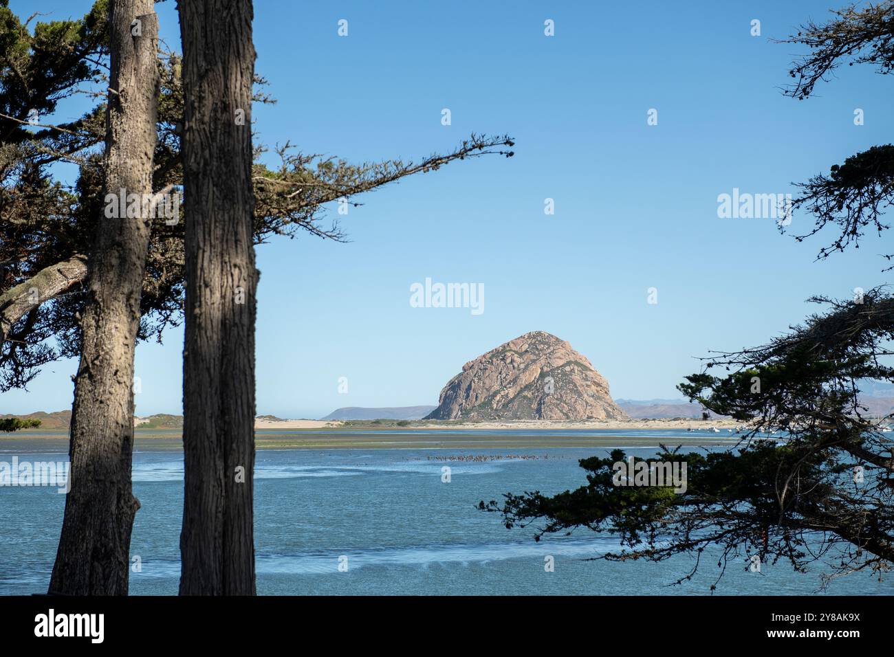 View of Morro Rock through trees, across wetlands and harbor Stock ...
