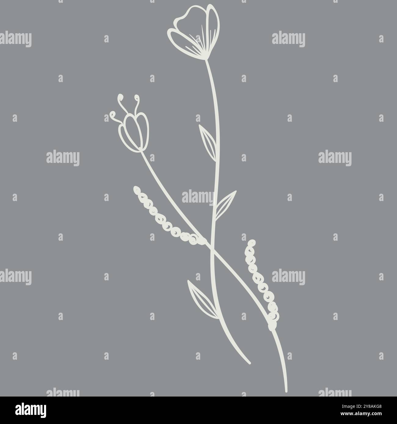 white floral elements vector illustration Stock Vector Image & Art - Alamy