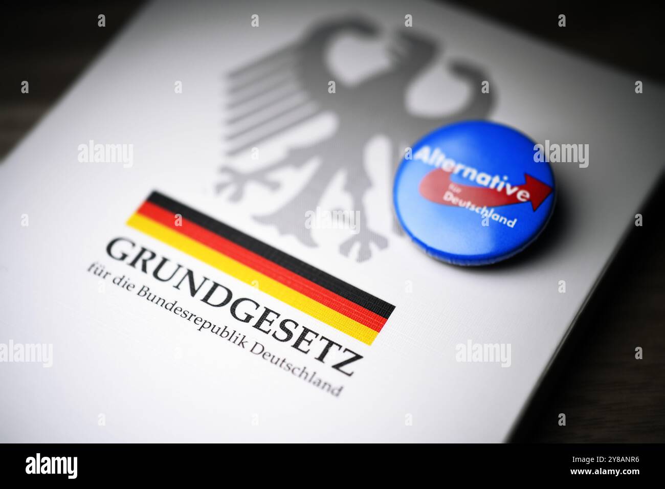 AfD party badge on the German Basic Law, symbolic photo for the AfD ban ...