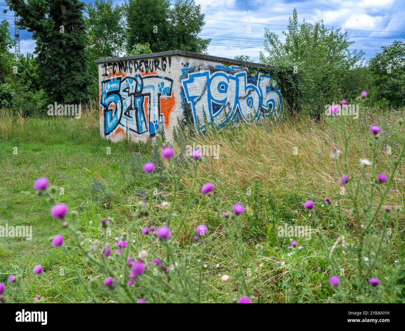 Graffiti 1. FC Magdeburg since 1965 on a wall at Jersleber See, Germany ...