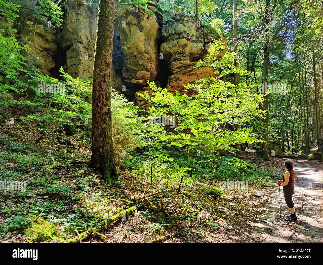 tourist in Bizarre rock landscapes of red sandstone in the Sauerschweiz ...