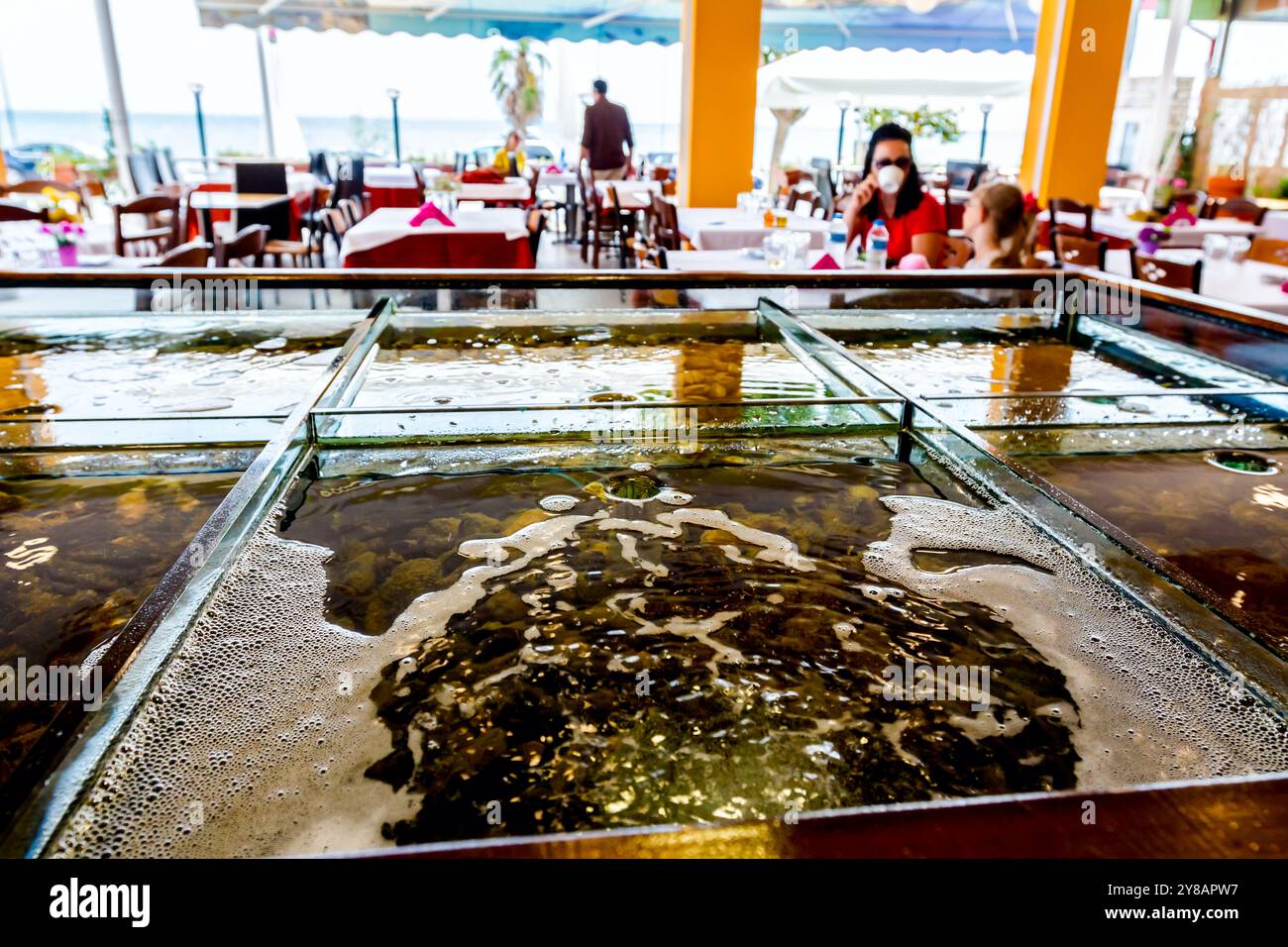 Live sea animals are in divided aquarium, tank at traditional seafood ...