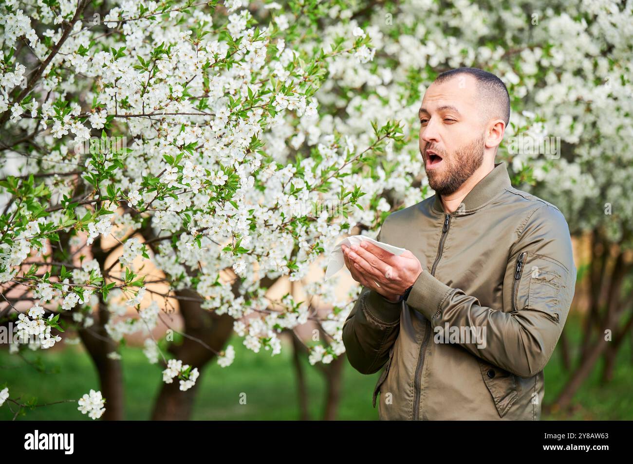 Man allergic suffering from seasonal allergy at spring in blossoming ...