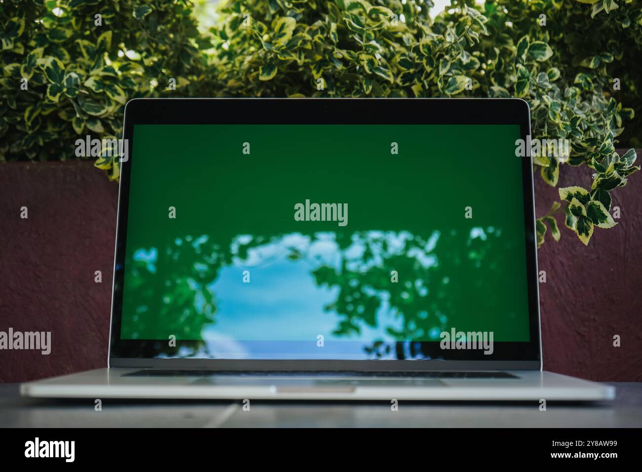 Open laptop with green screen on table background of nature. Working ...
