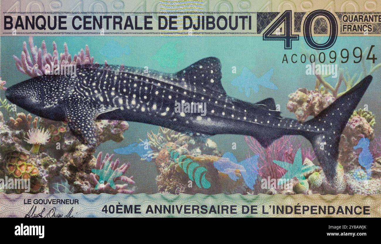 Portrait of a Whale Shark and Vibrant Coral Reefs from Djibouti 40 ...