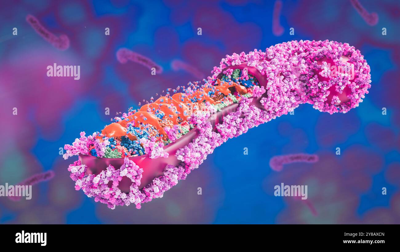 Marburg viruses hologram 3D illustration. RNA viruses that cause ...