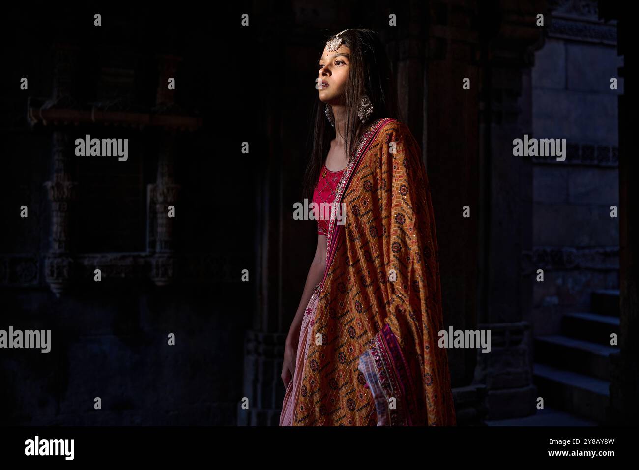 Indian woman in traditional sari dress on steps at historic Adalaj ...