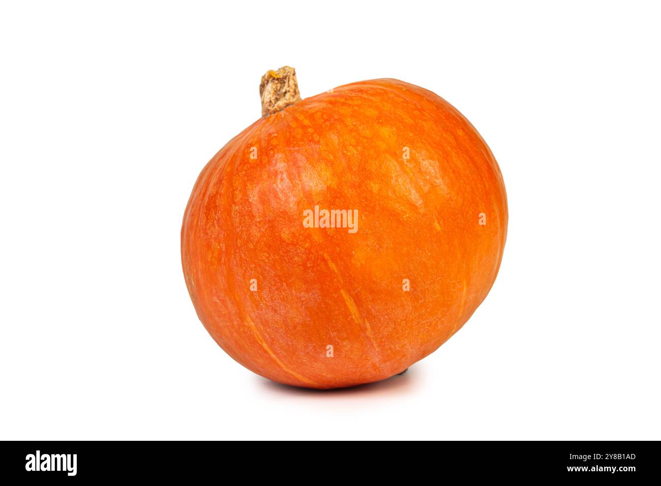 Halloween home decorations Cut Out Stock Images & Pictures - Alamy