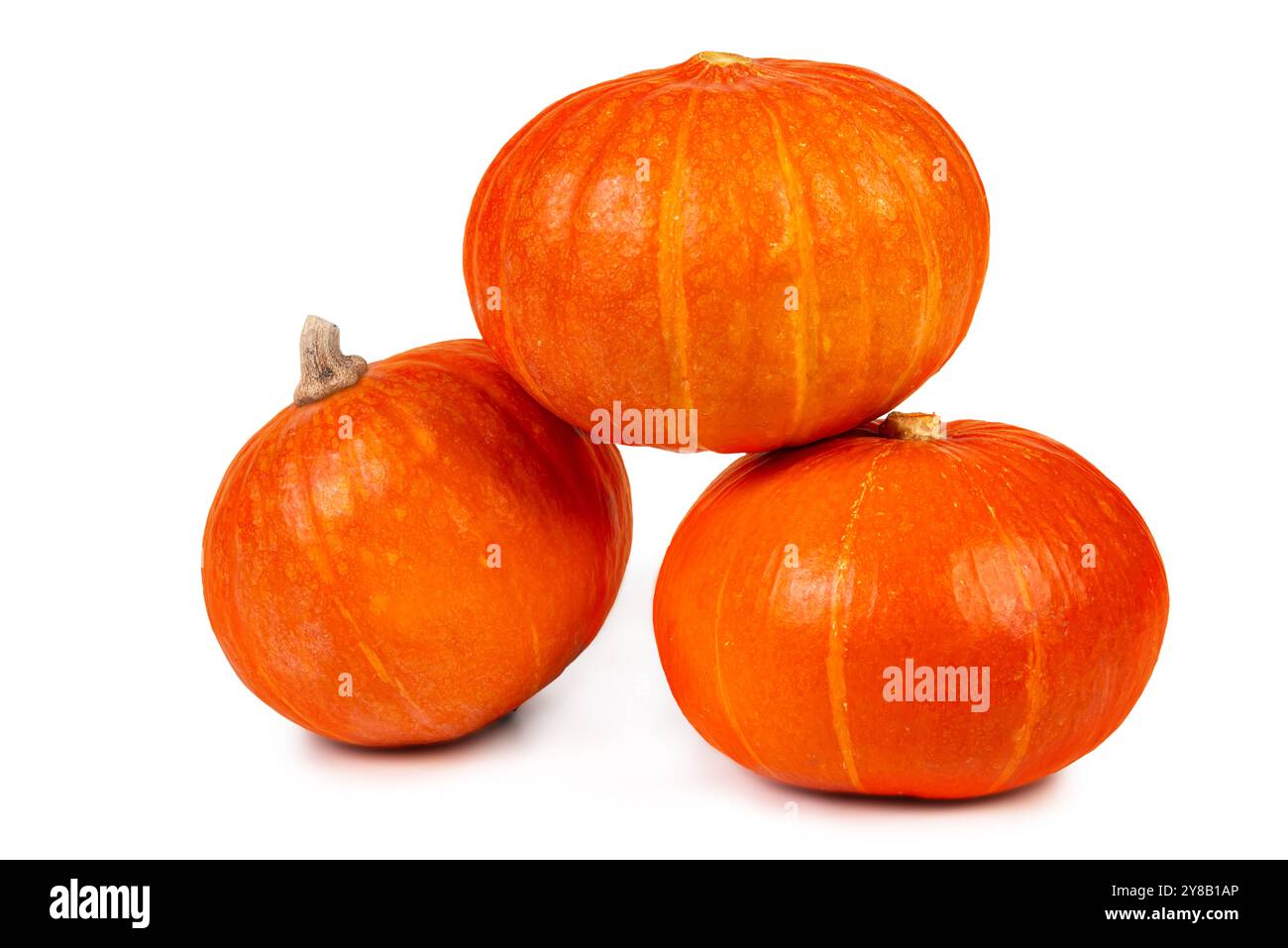 This bright orange pumpkin showcases its smooth skin and rounded shape ...