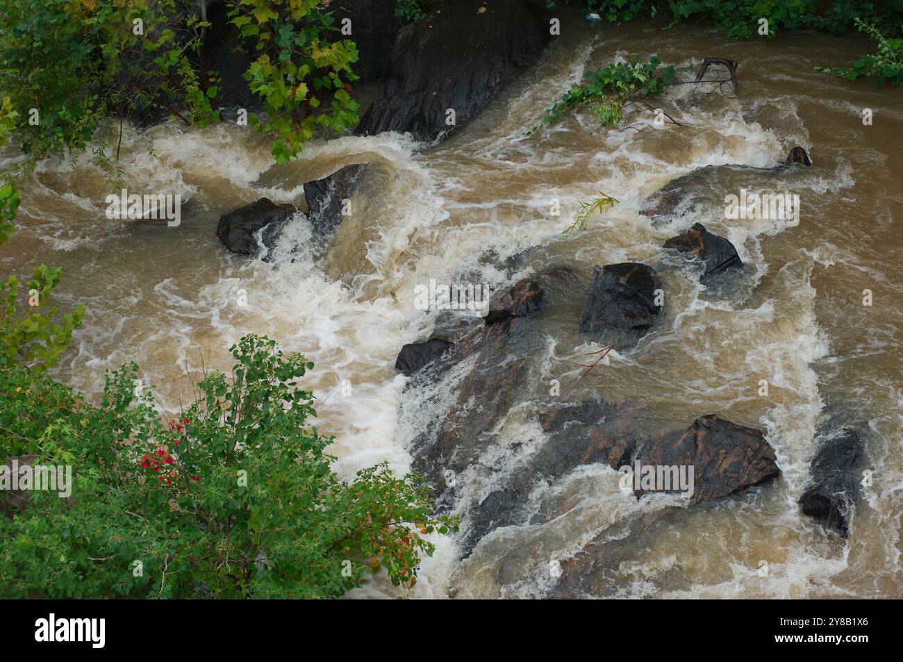 Close Up Overhead view looking down at river rocks in a swift fast ...