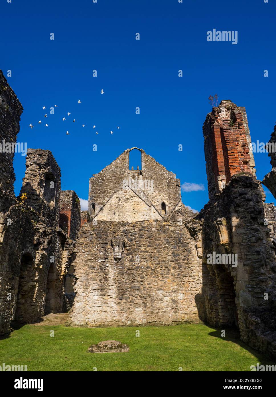 Netley Abbey, Ruined Abbey, Netley, Southampton, Hampshire, England, UK ...