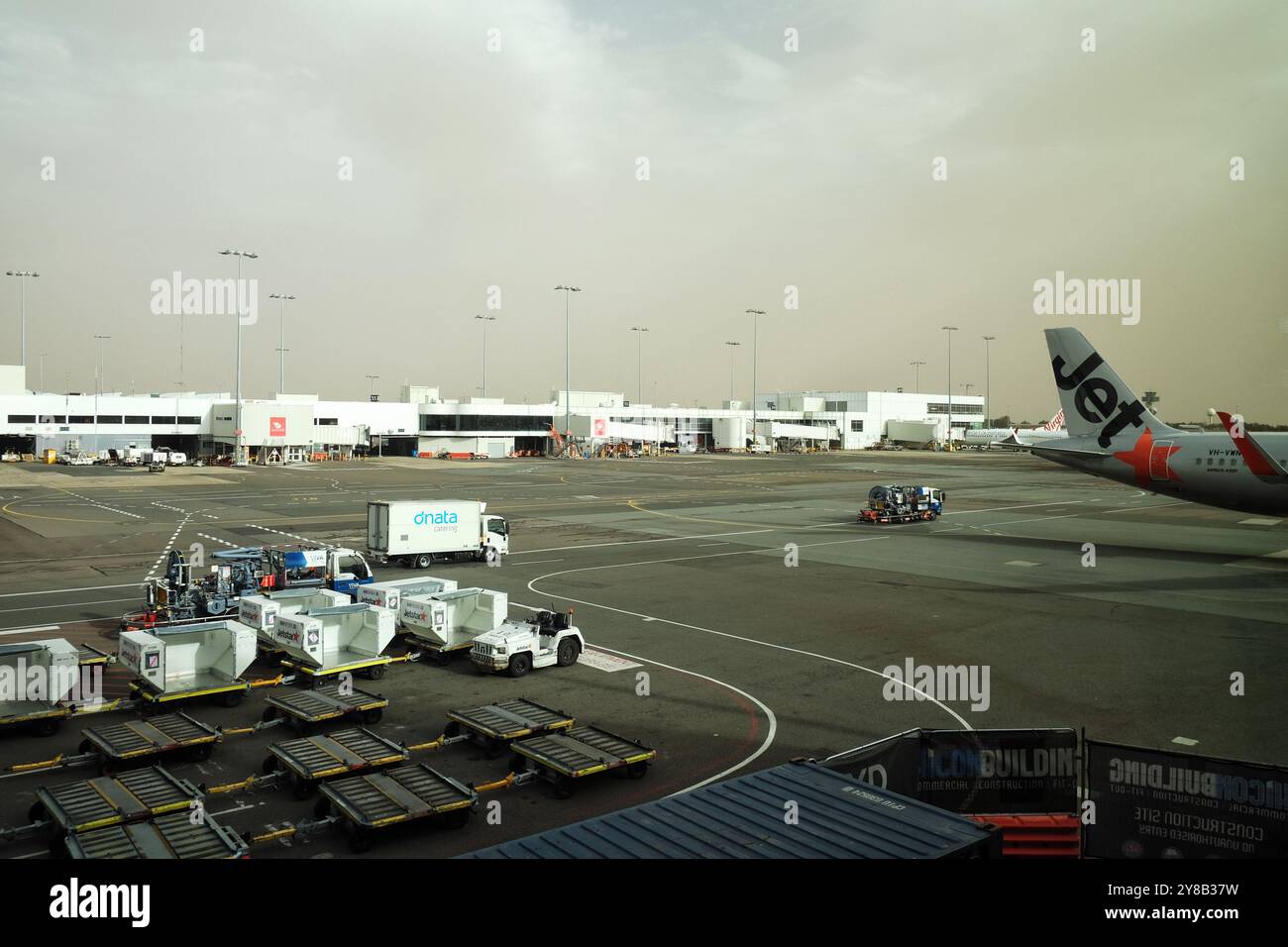 Baggage and food carts on the apron at Sydney Airport with the tail of ...