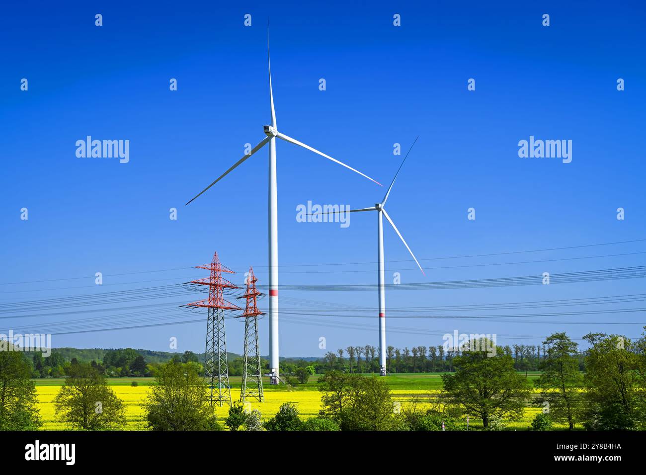Power pylons, wind turbines and rapeseed fields in Curslack, Hamburg ...
