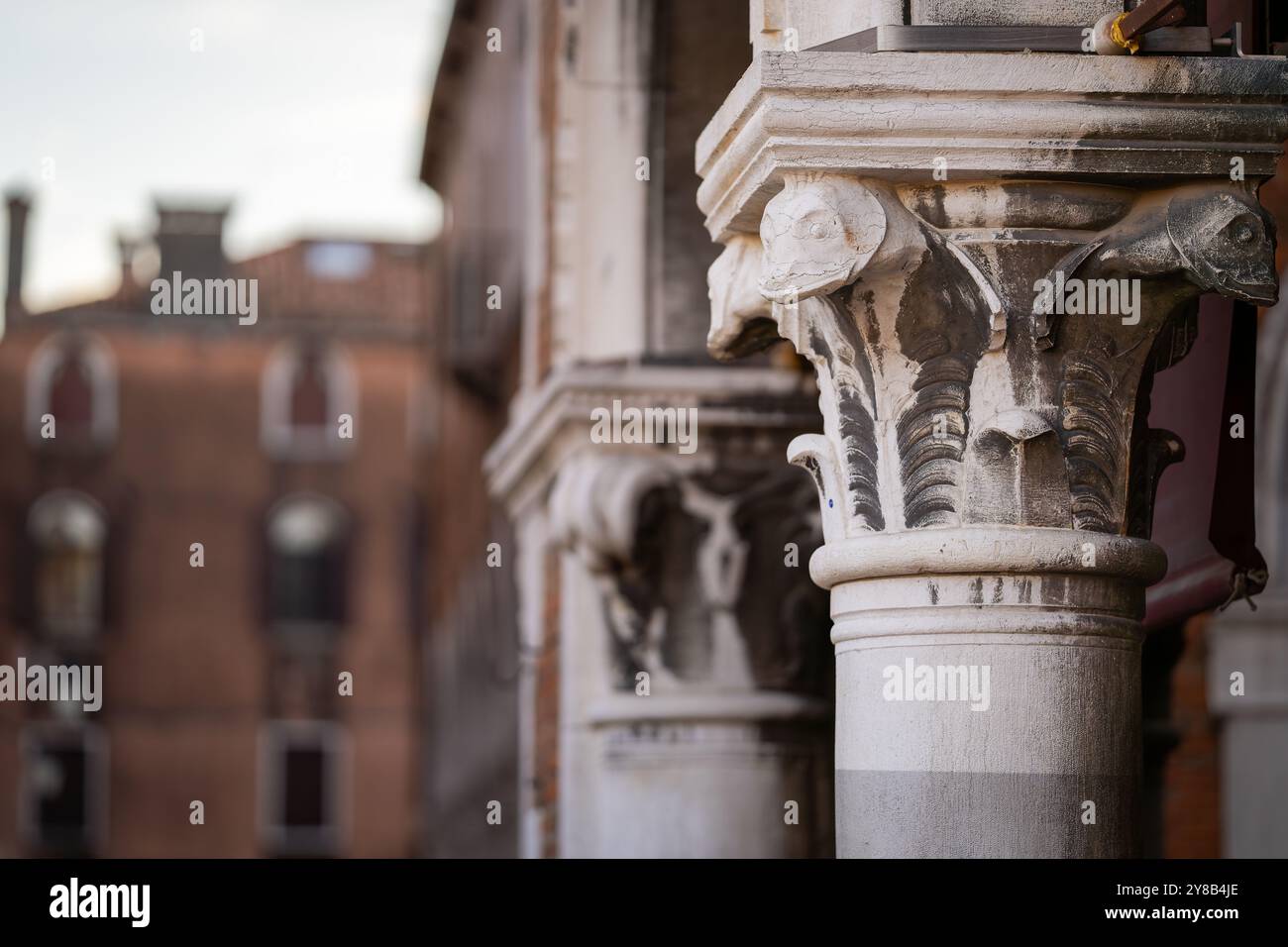 Close-up view of the capitals of the columns in Rialto fish market ...