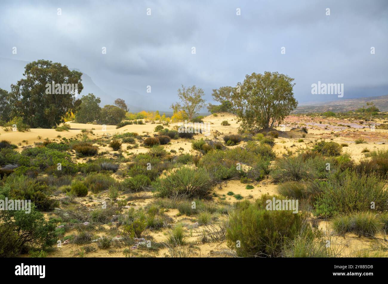 Desert landscape at Karoo Highland, Northern Cape, South Africa Stock ...